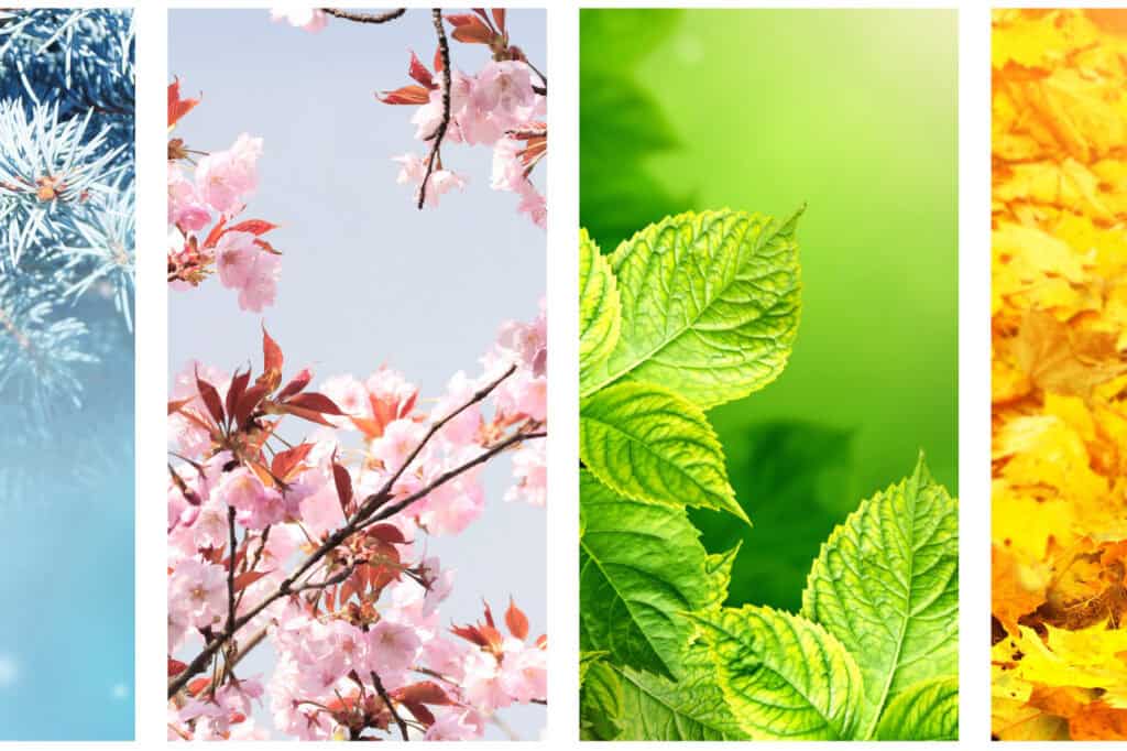 Helping Students Adjust to Seasonal Changes and Routines - Deron School